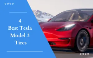 4 Best Tesla Model 3 Tires (According to Model 3 Owners) - Tripversed